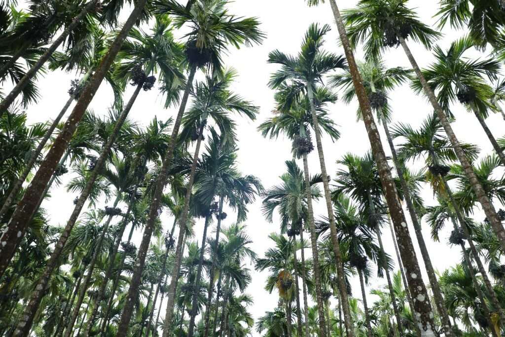 Water-Wise Farming: How Smart Irrigation Is Redefining Agriculture ...