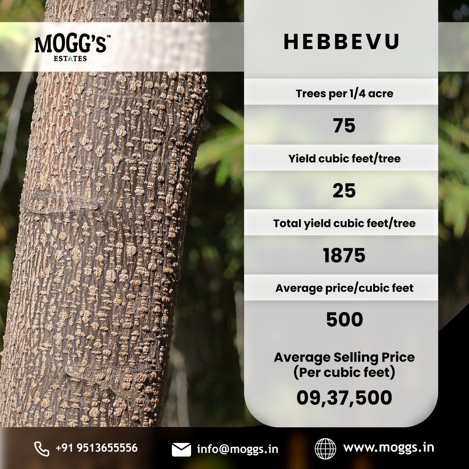 Benefits Of Growing Forest Bearing Trees In Your Farms - Moggs Estates